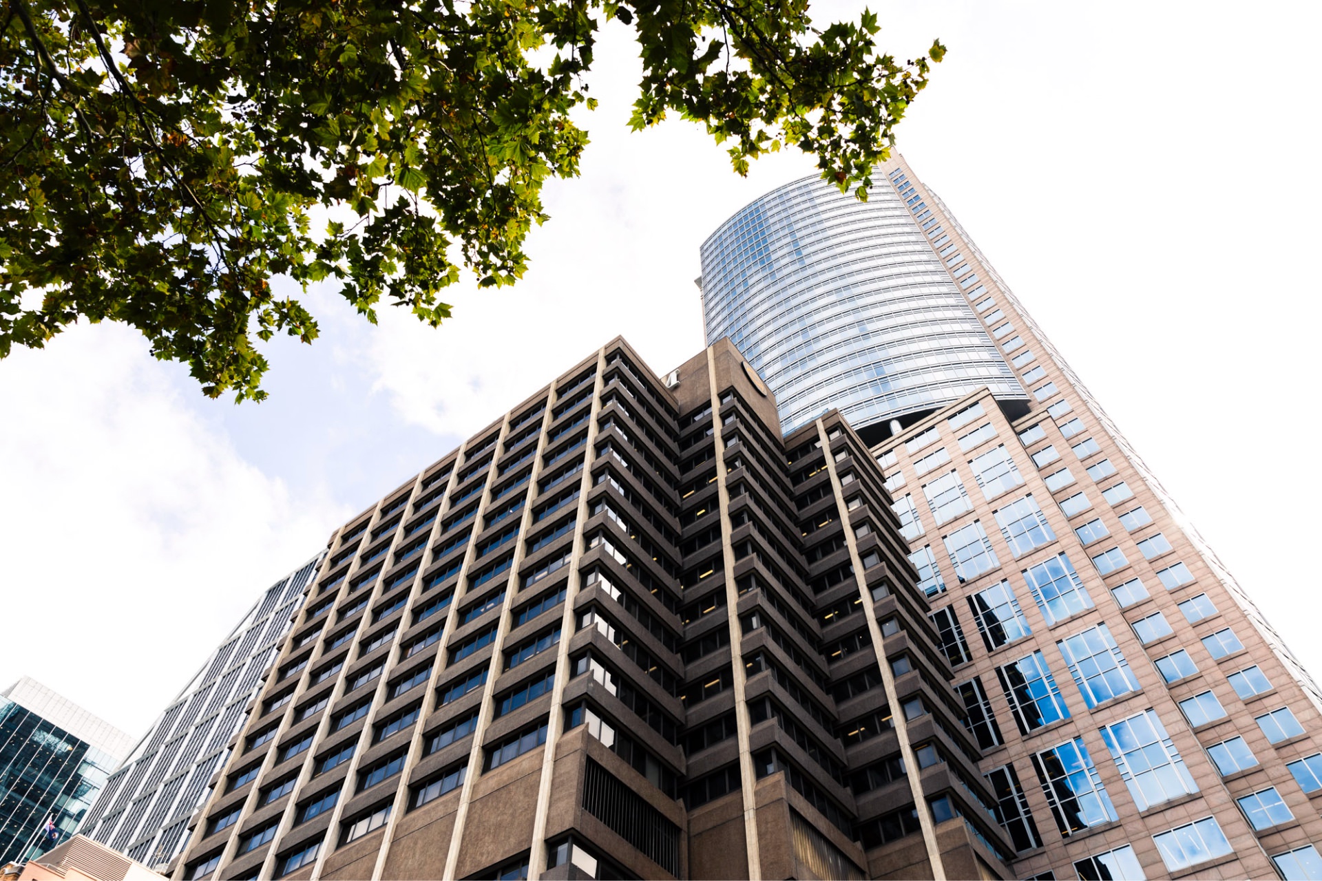 Contact - SEC Newgate Australia